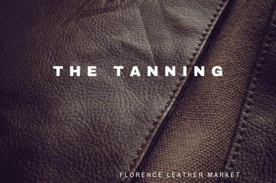 How exactly does the skin tanning process develop?