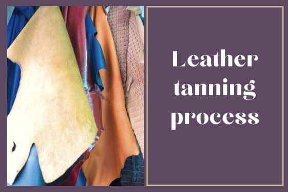 What is the tanning process in the leather industry ? - Fashion Blog ...