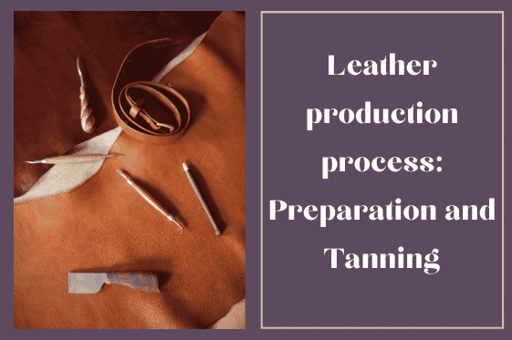 Leather production process: Preparation and Tanning